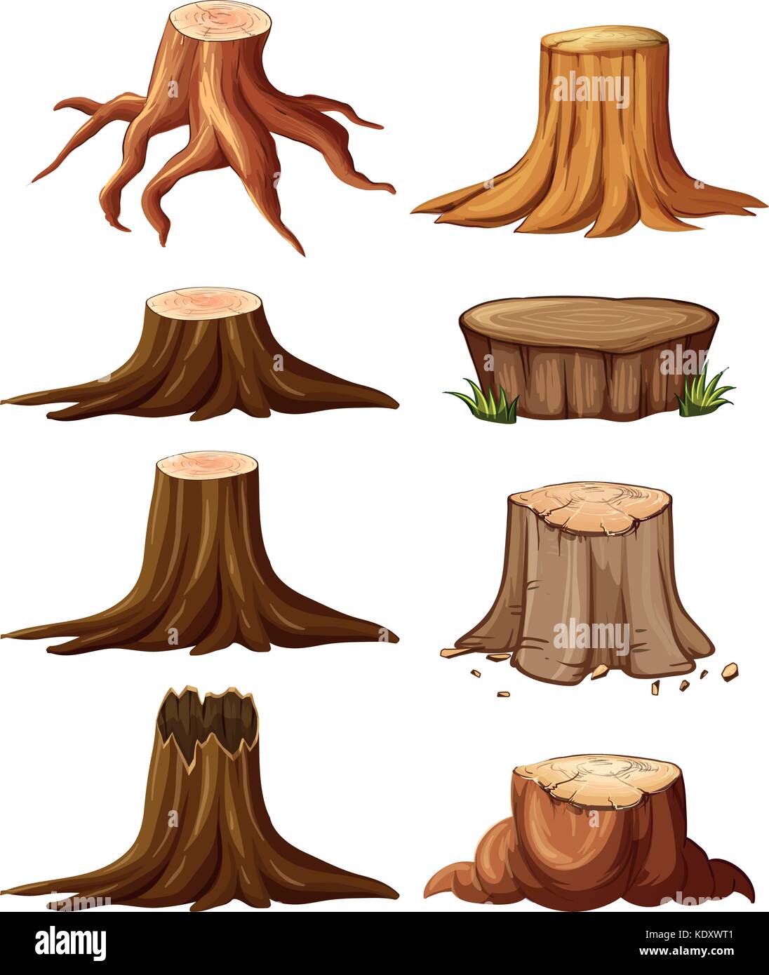 Stumps illustration hi-res stock photography and images - Alamy