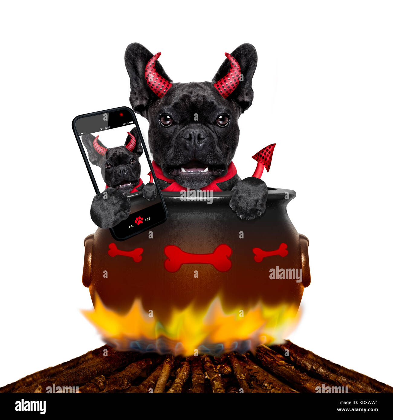french bulldog halloween devil dog burning inside a boiler on a bonfire ...
