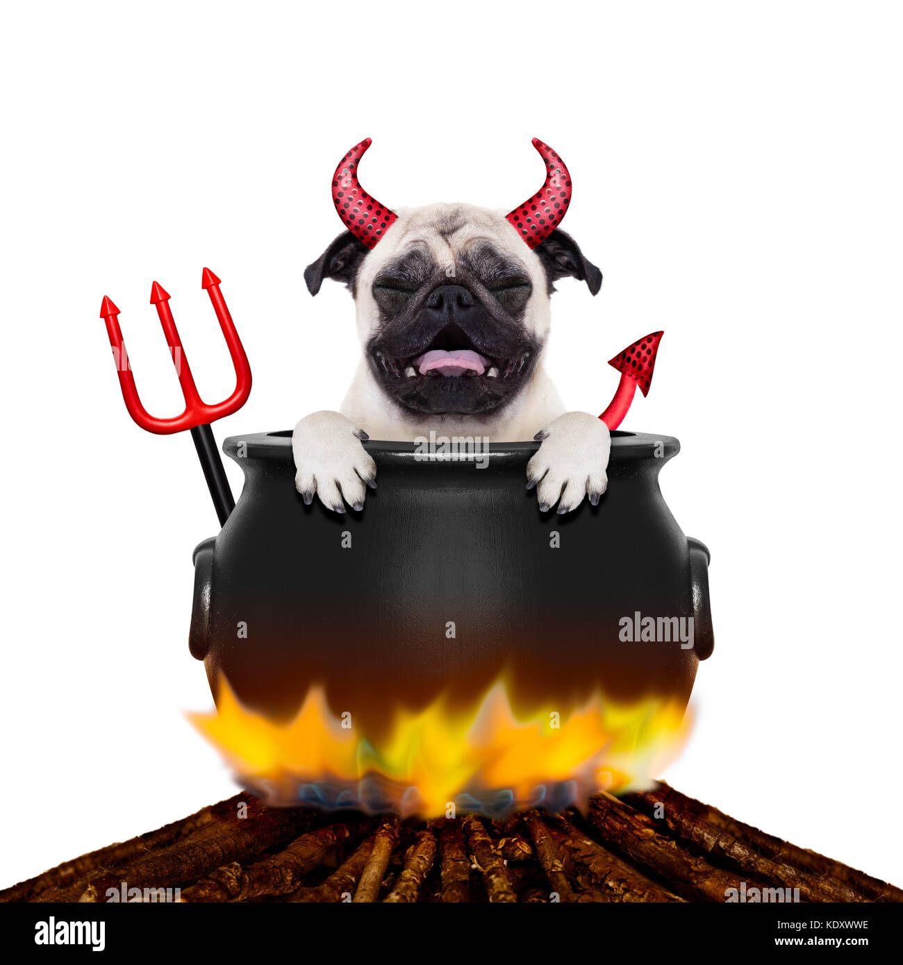 pug halloween devil dog burning inside a boiler on a bonfire like a ...