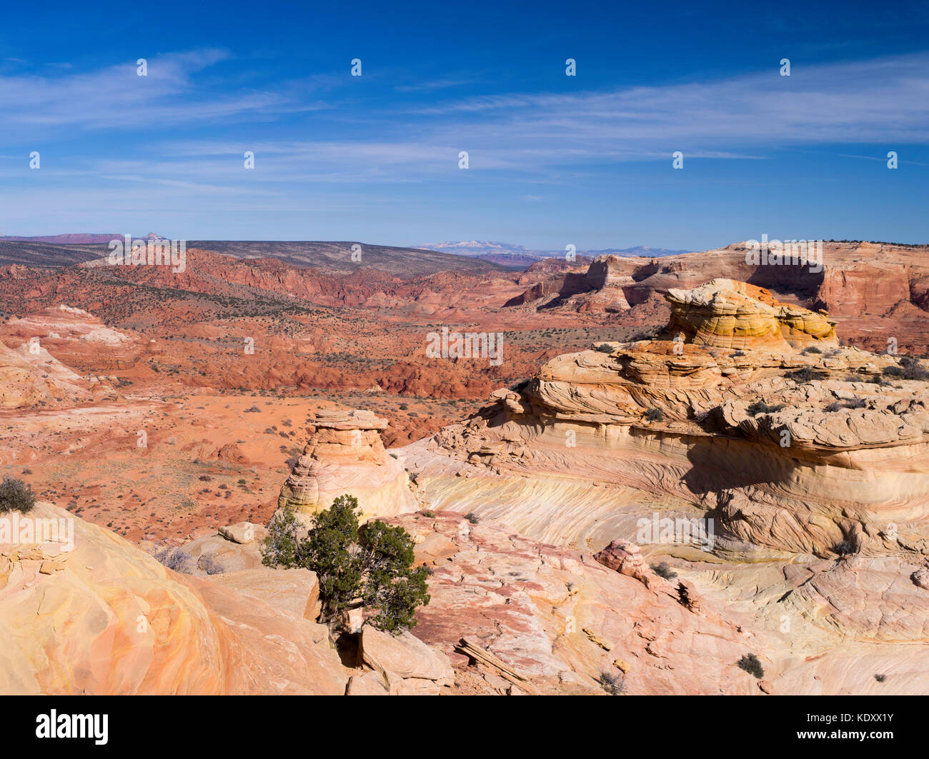 High angle view of the North Coyote Buttes area of Vermilion Cliffs ...