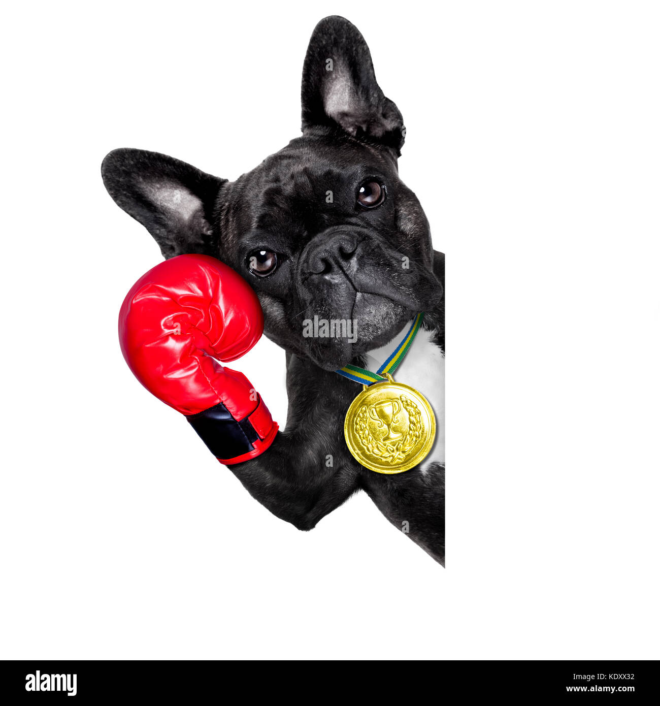 Exercise fitness program trainer Cut Out Stock Images & Pictures - Alamy