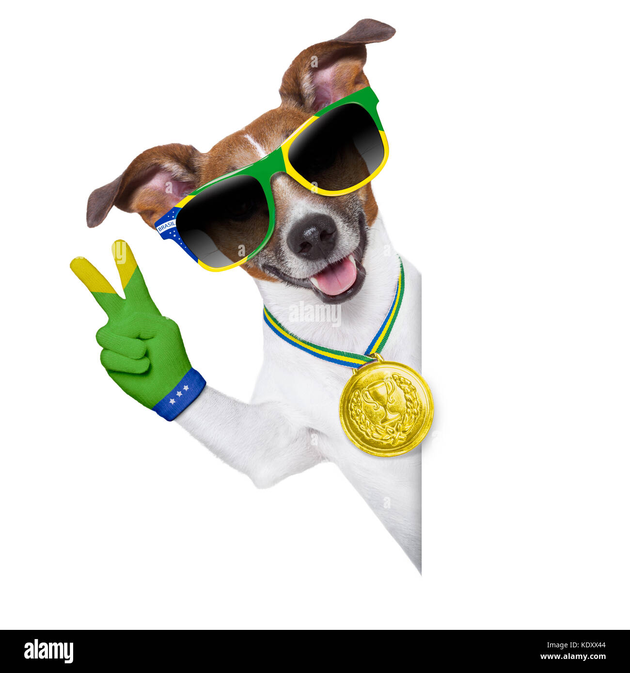 brazil soccer dog with victory fingers in green Stock Photo - Alamy