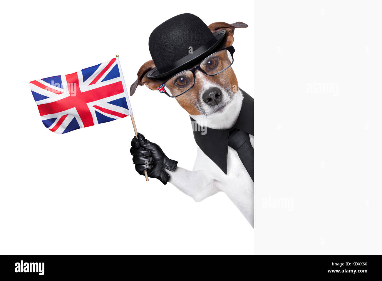 british dog with black bowler hat and black suit waving a flag Stock ...