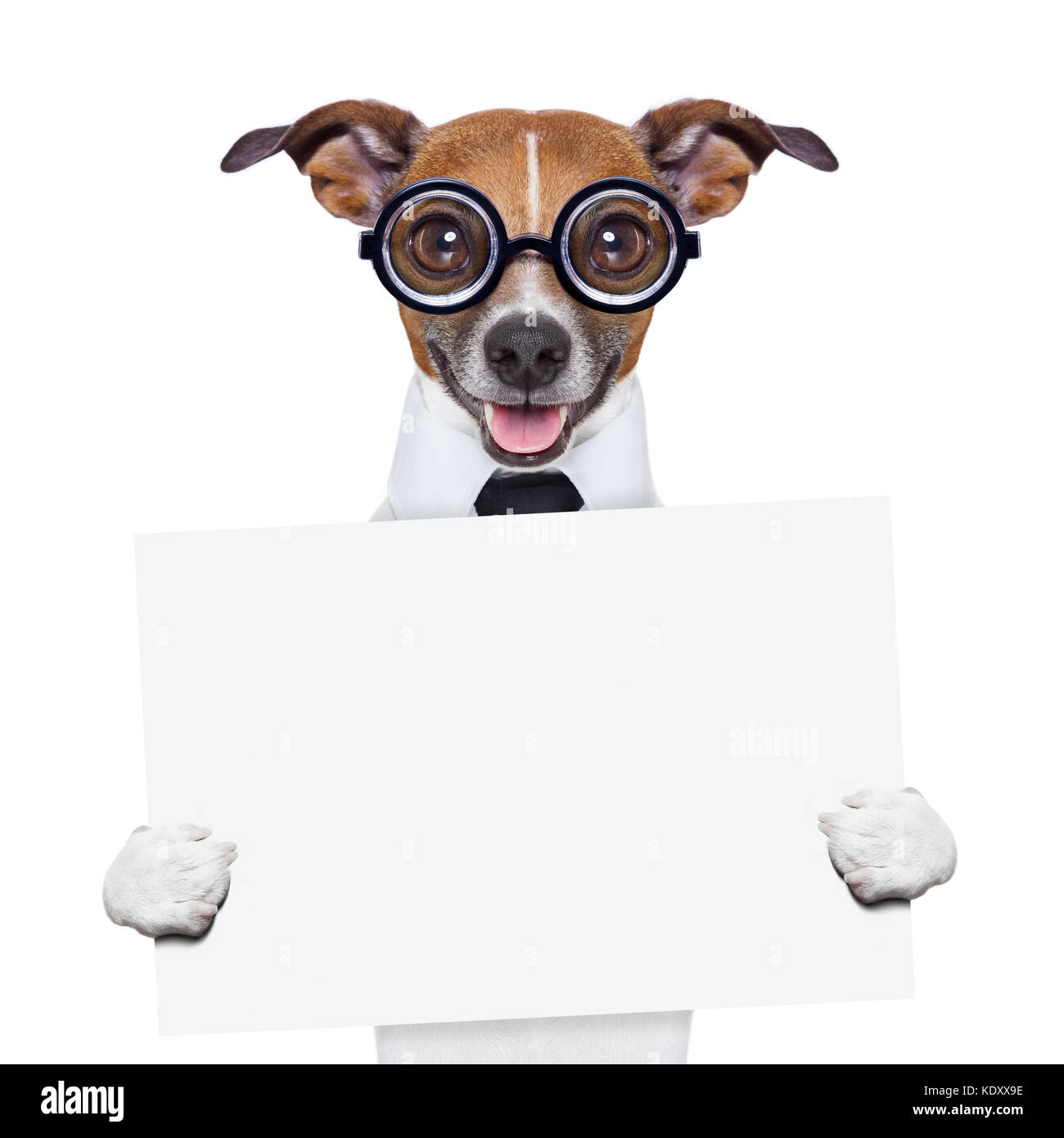 Funny boss hi-res stock photography and images - Alamy