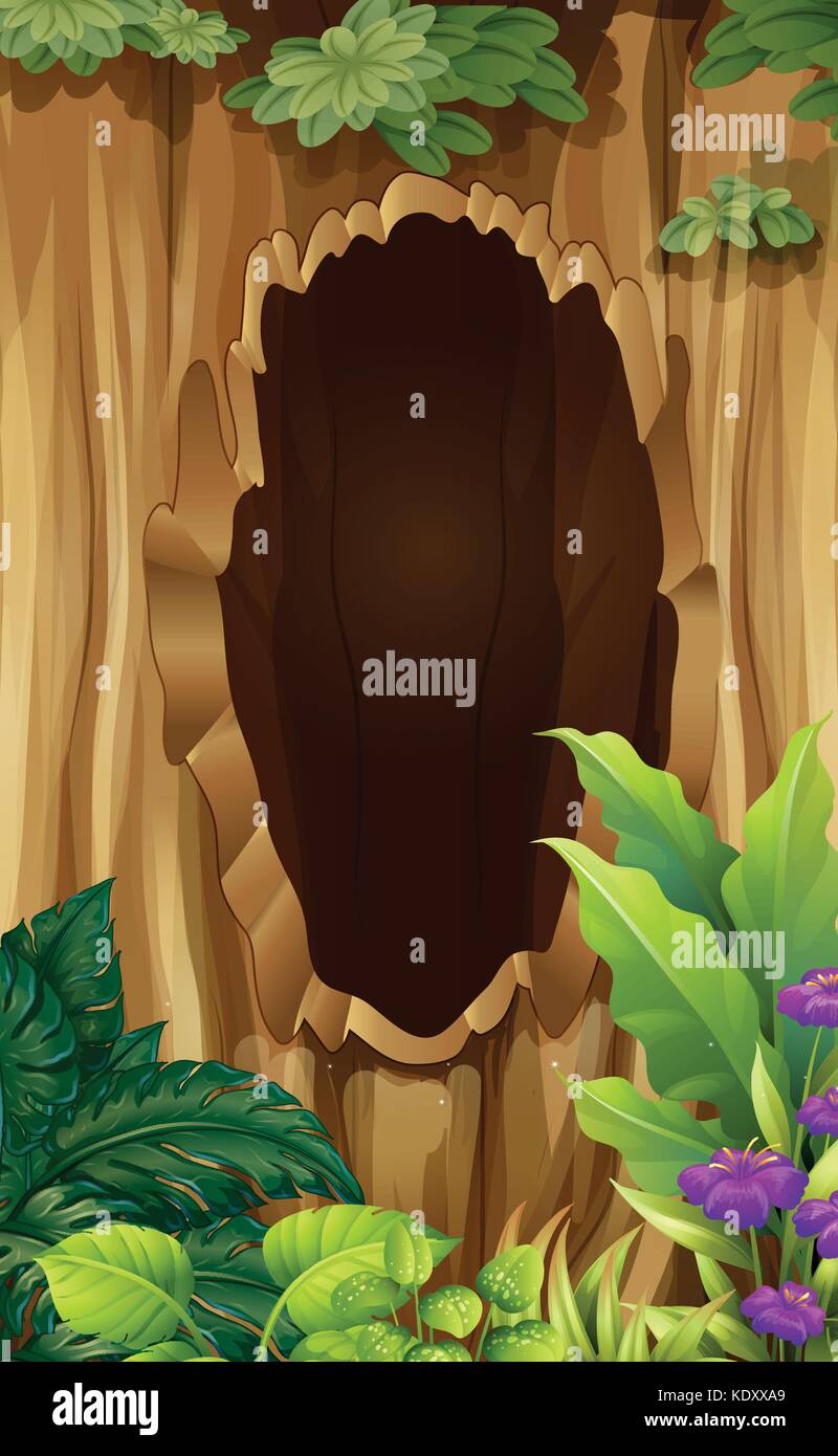 Hole in the tree illustration Stock Vector Image & Art - Alamy