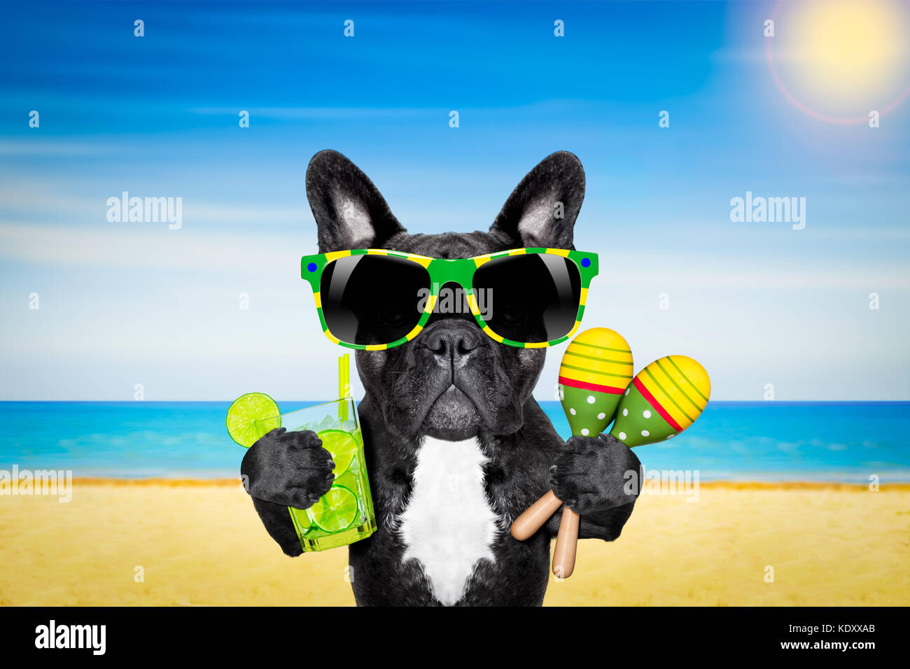 Holiday French Bulldog