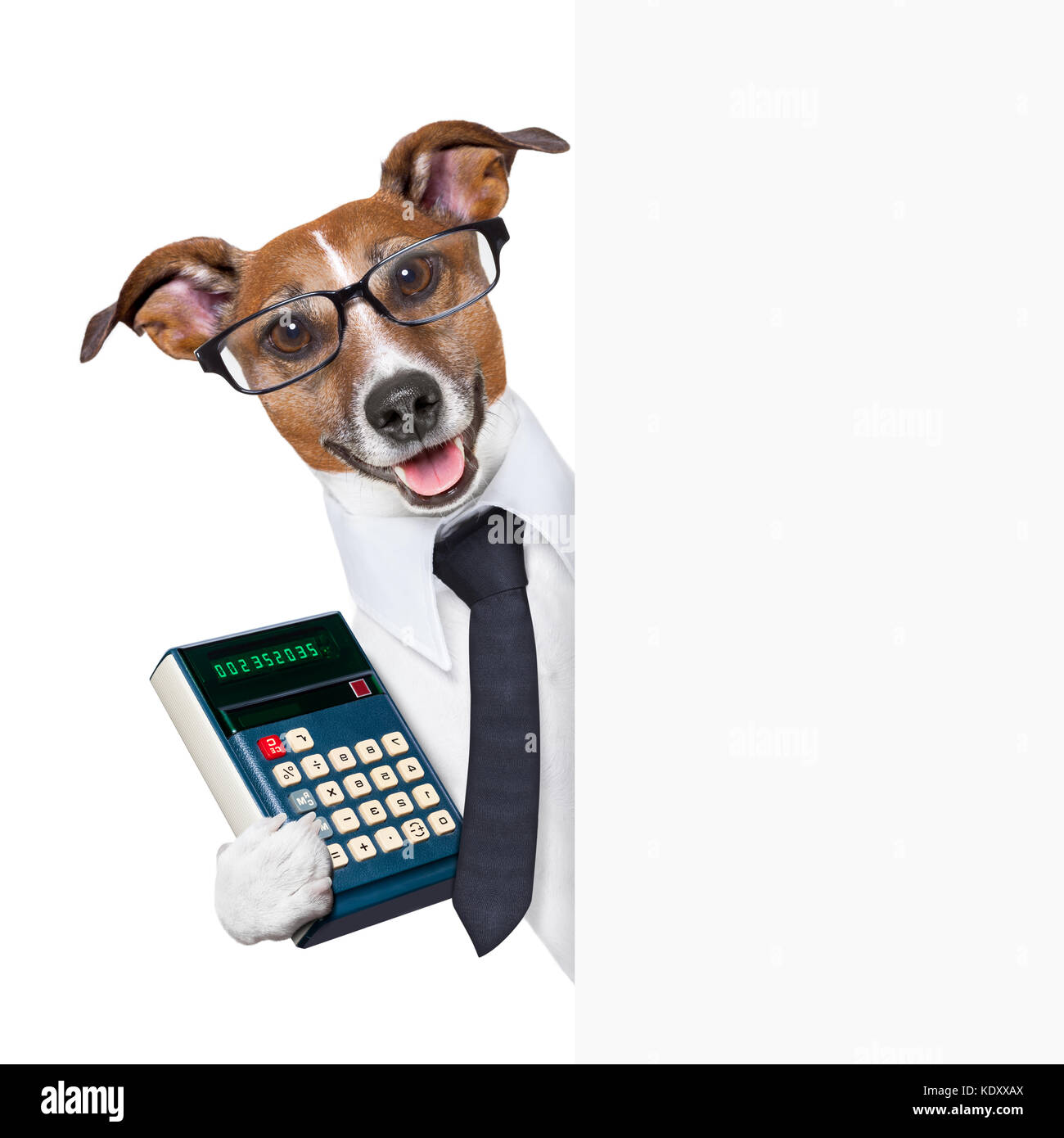 accountant dog behind blank page wearing a suit Stock Photo - Alamy