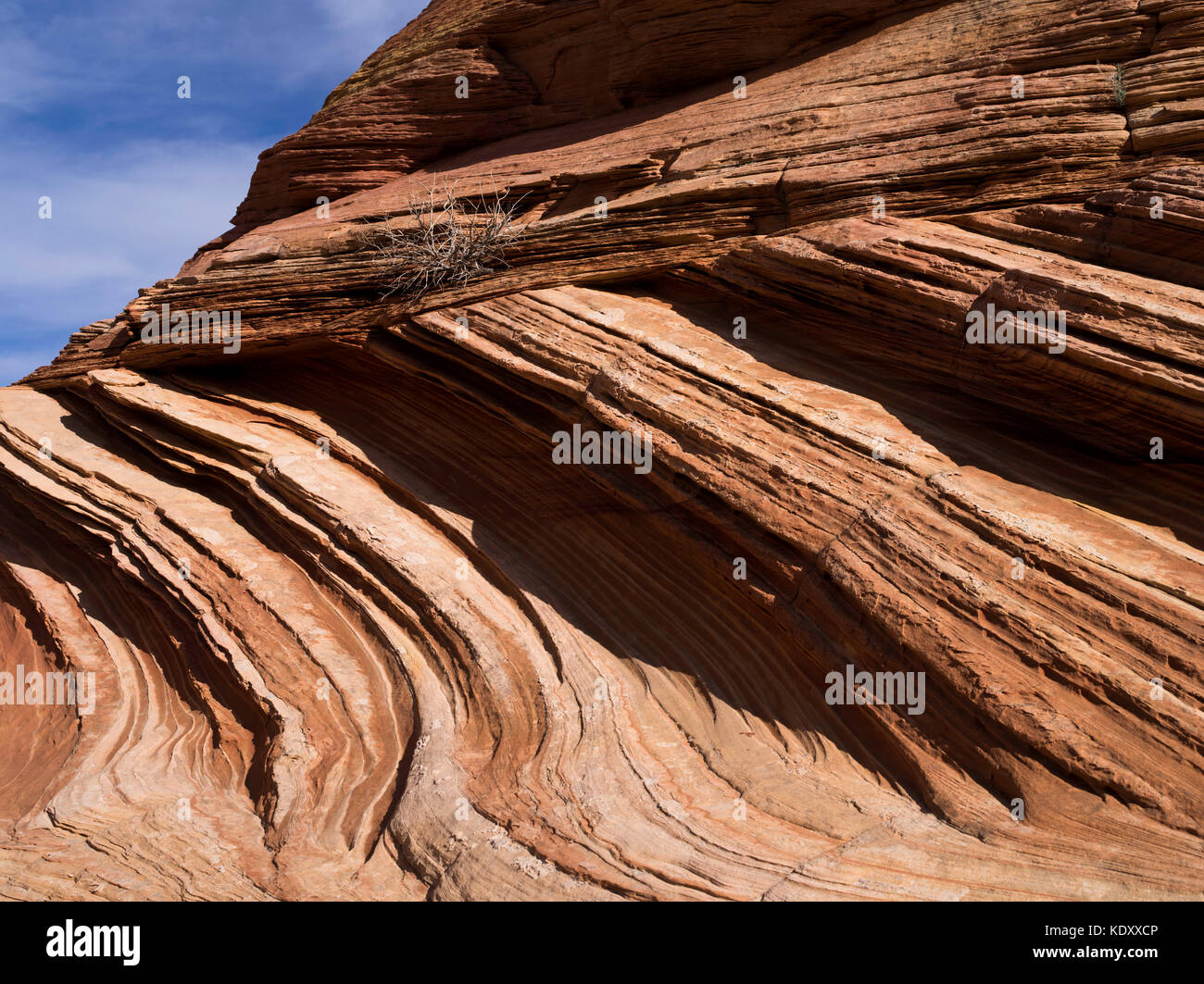 Sandstone folding in the area of The Wave, Vermilion Cliffs National ...
