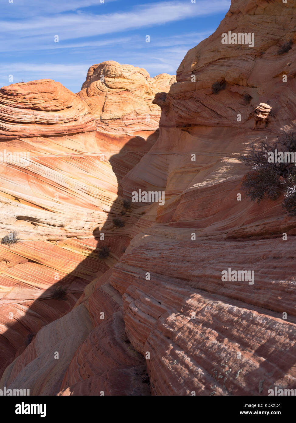Sandstone folding in the area of The Wave, Vermilion Cliffs National ...