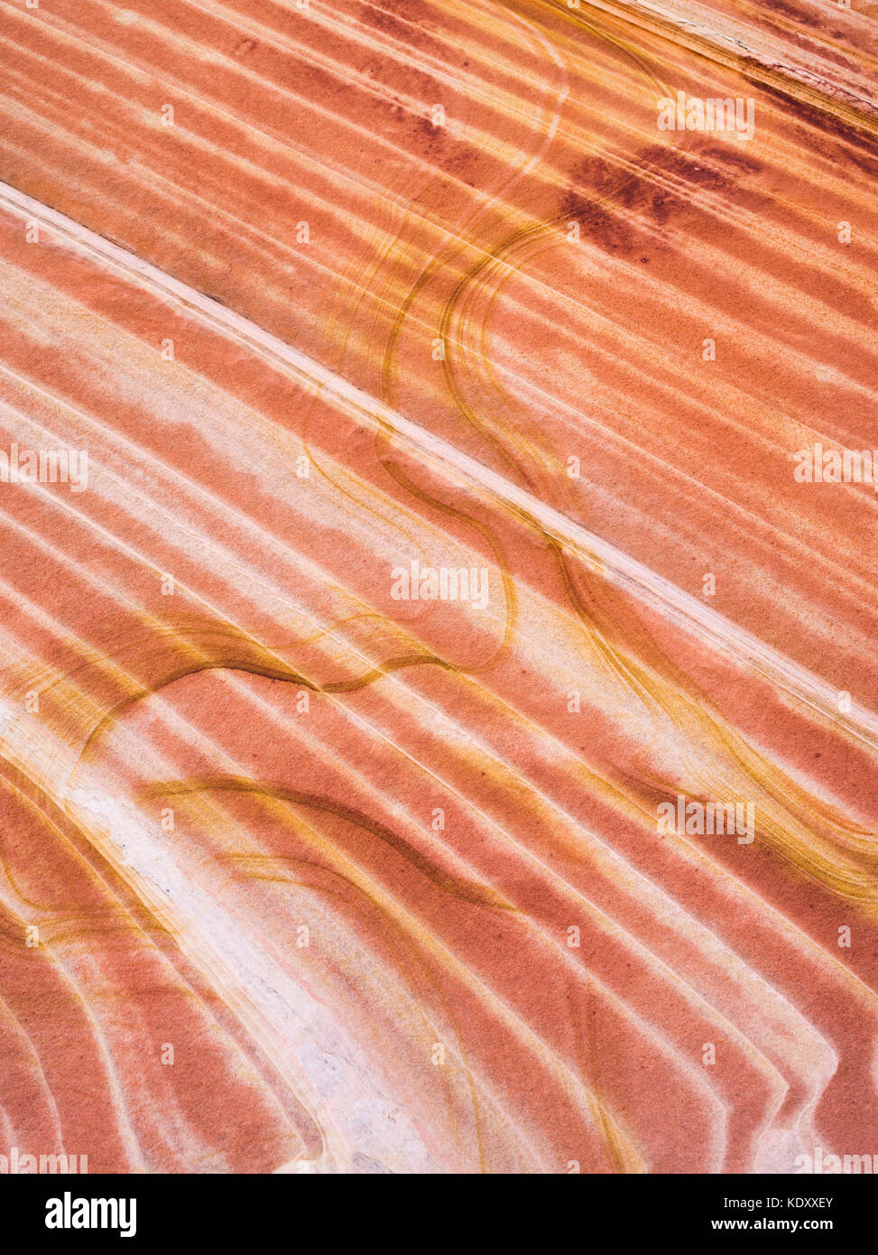 Sandstone folding in the area of The Wave, Vermilion Cliffs National ...