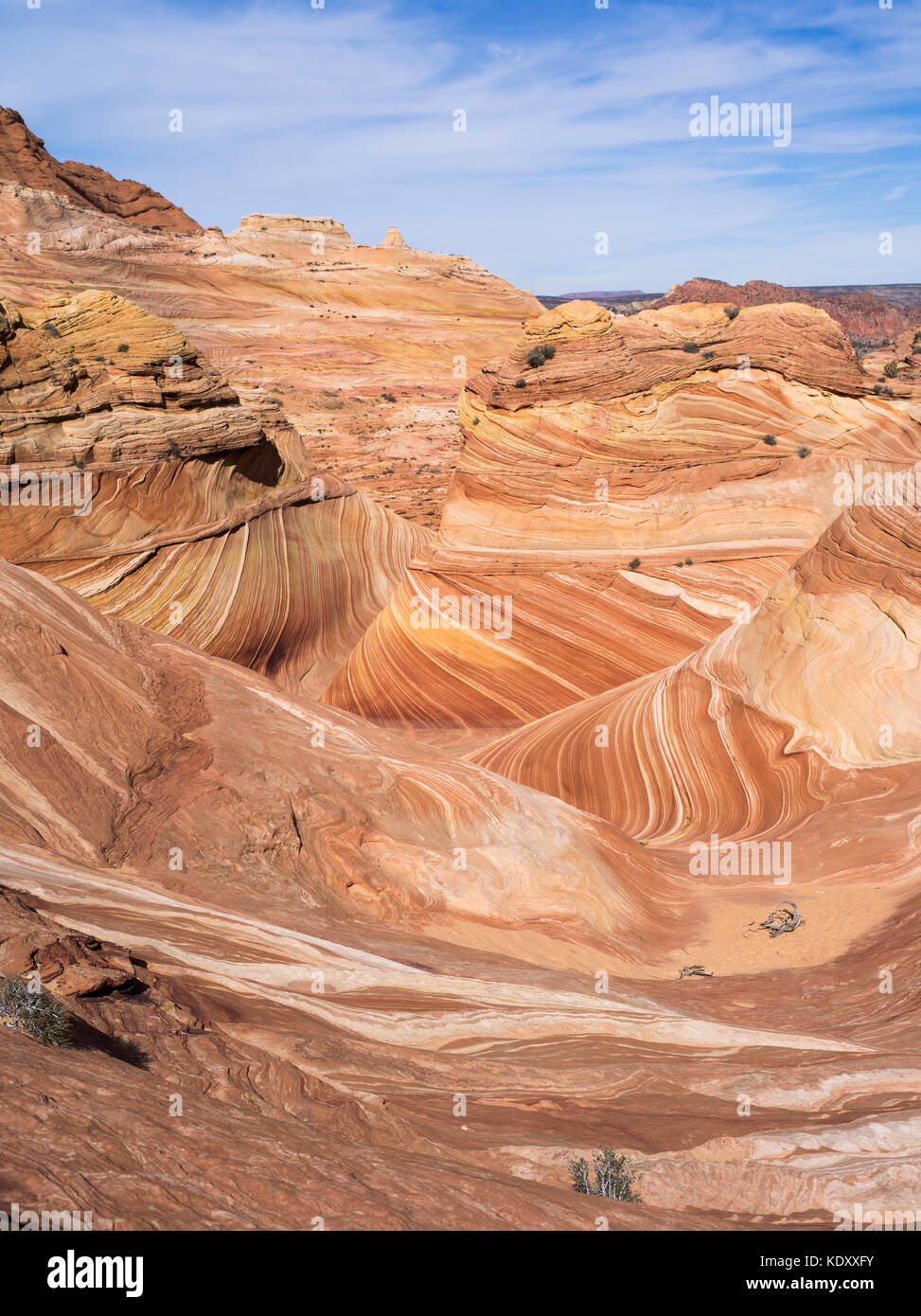 Dramatic sandstone folding at The Wave, Vermilion Cliffs National ...