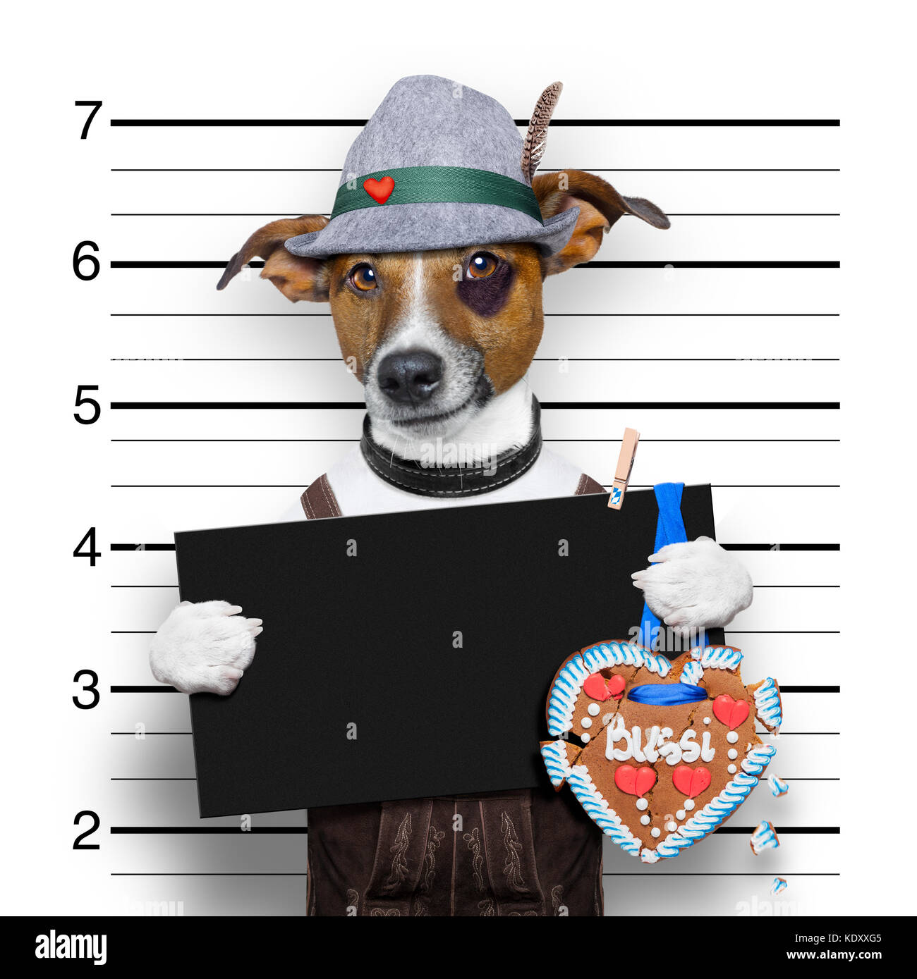 bavarian german jack russell dog with gingerbread and hat, mugshot at ...