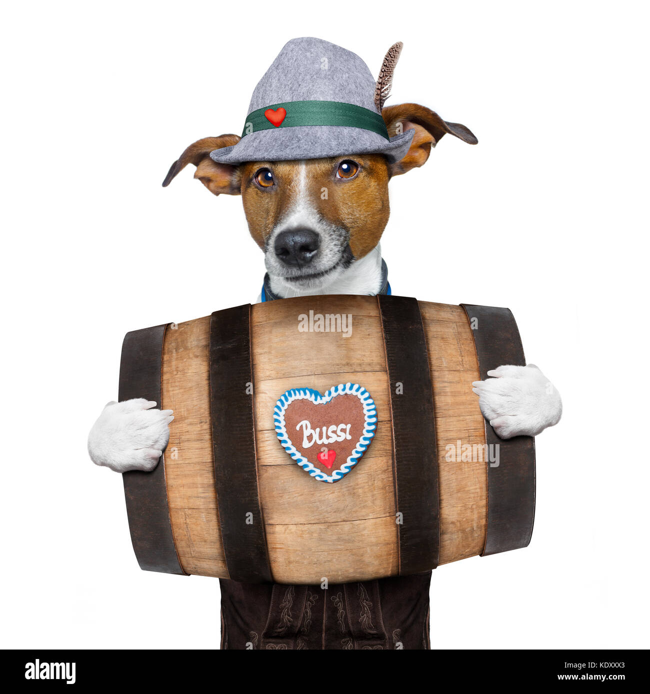 bavarian german jack russell dog with gingerbread and hat, behind ...