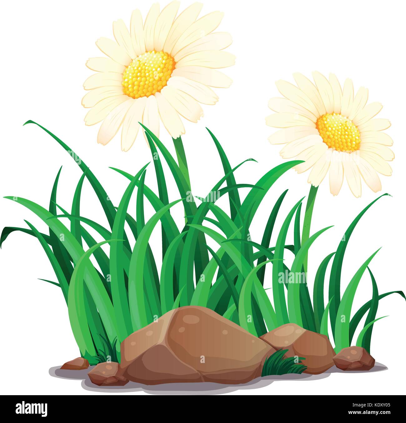 Flower bush clipart hi-res stock photography and images - Alamy