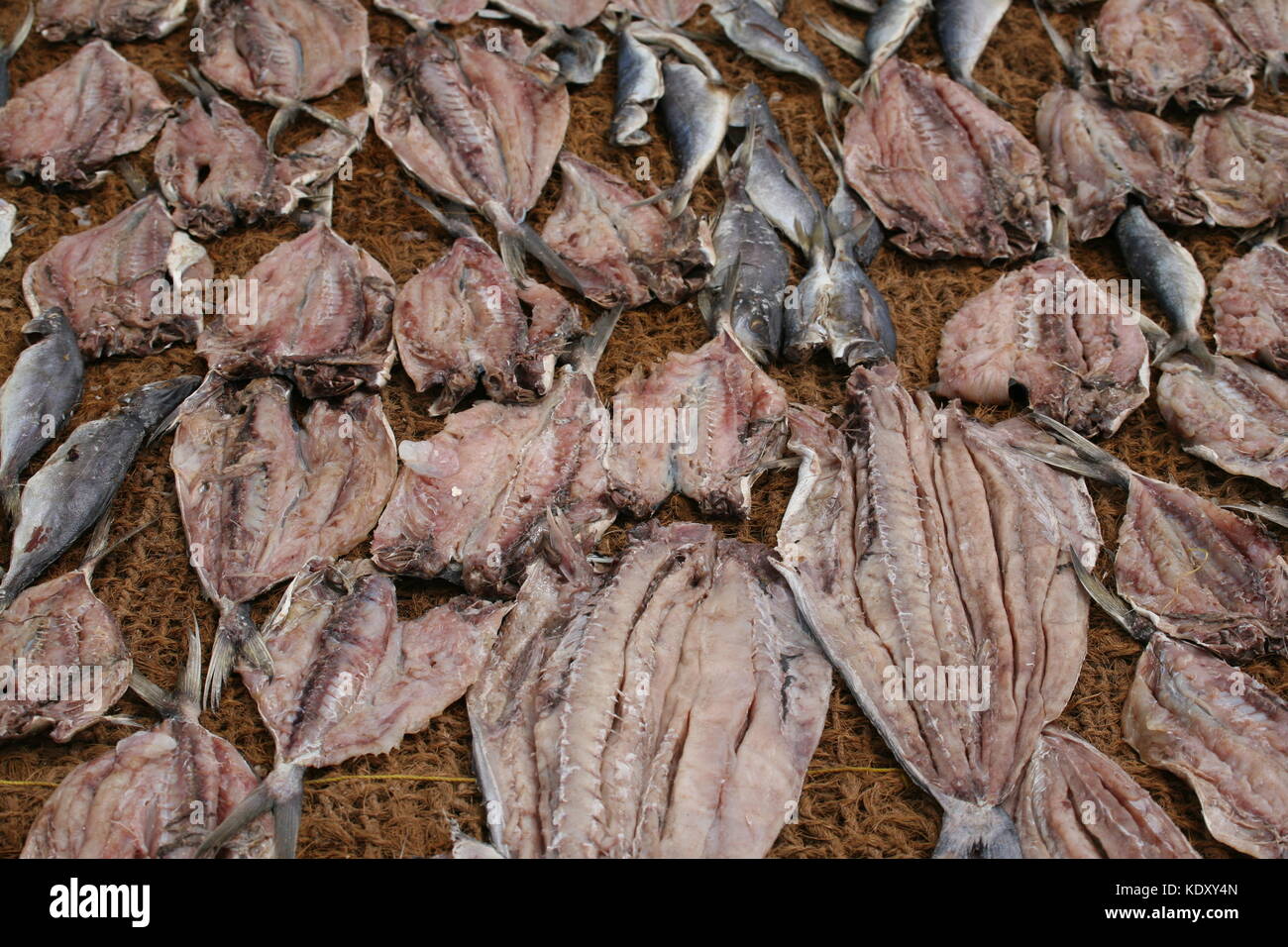 Strand fischmarkt hi-res stock photography and images - Alamy