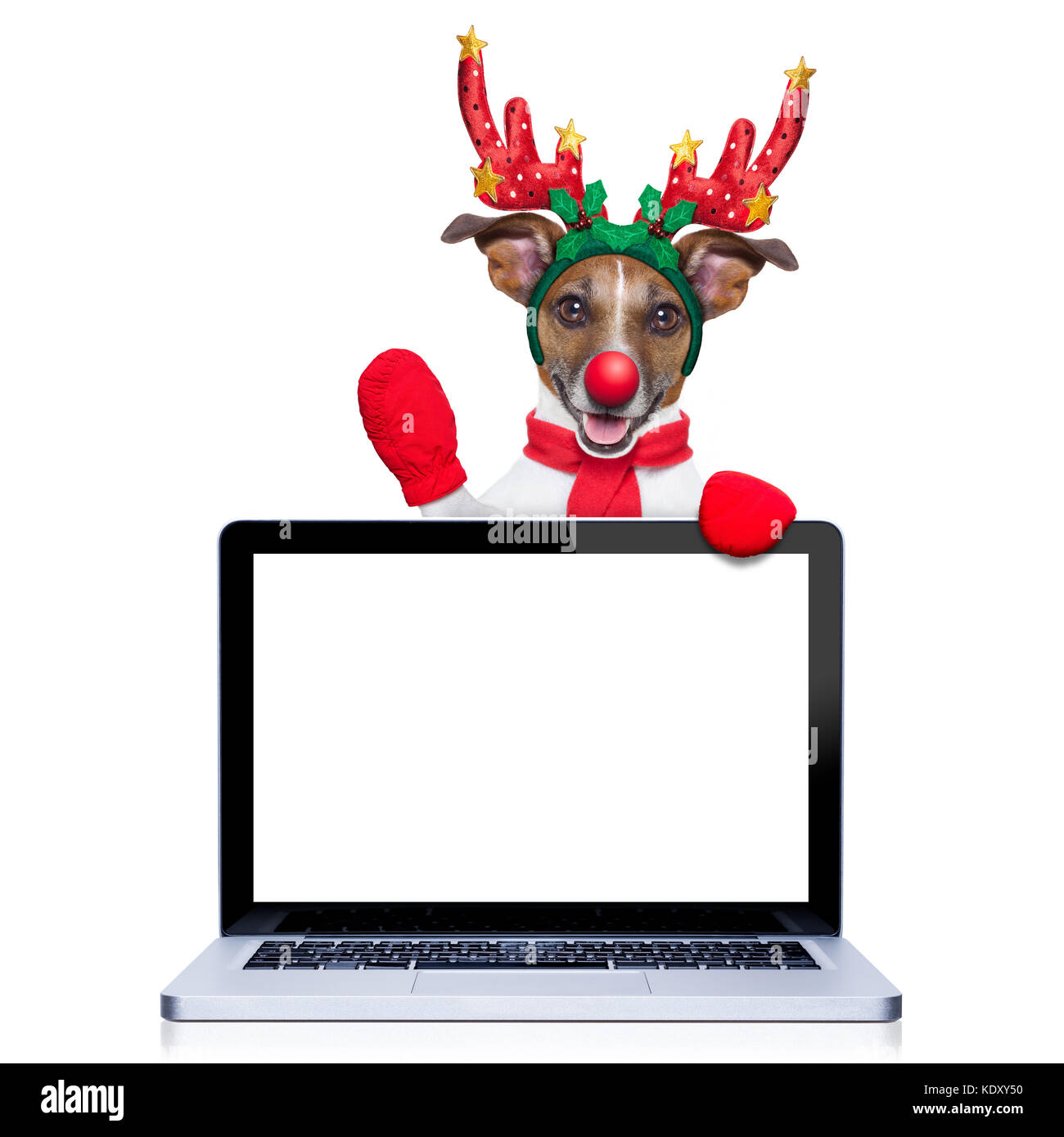 christmas dog with reindeer costume behind a laptop computer pc ...