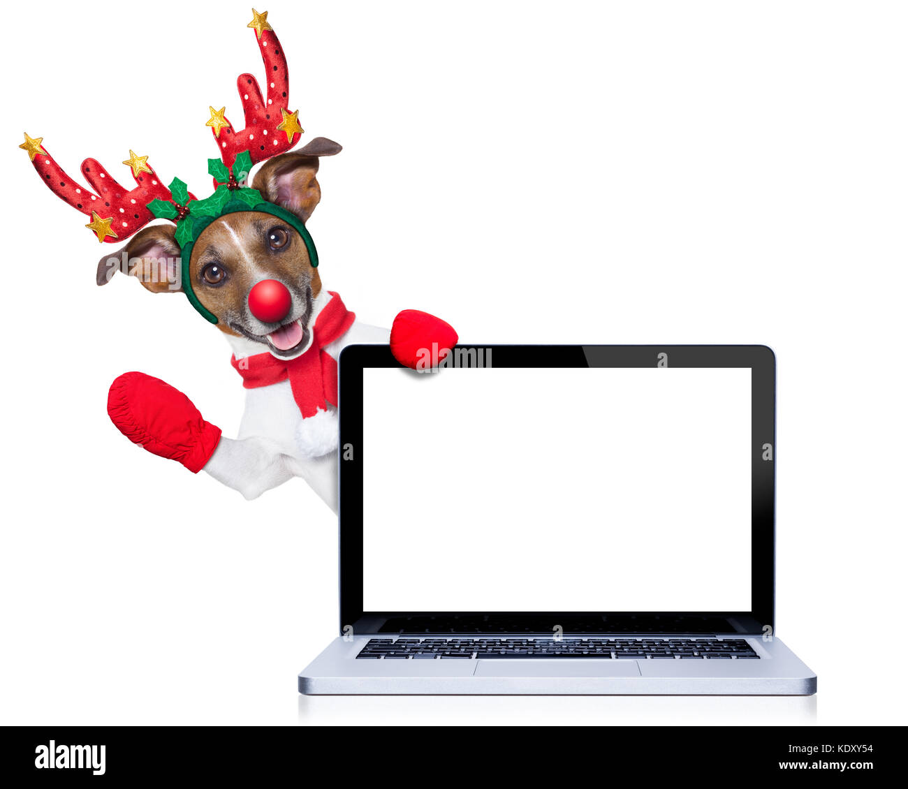 christmas dog with reindeer costume behind a laptop computer pc ...