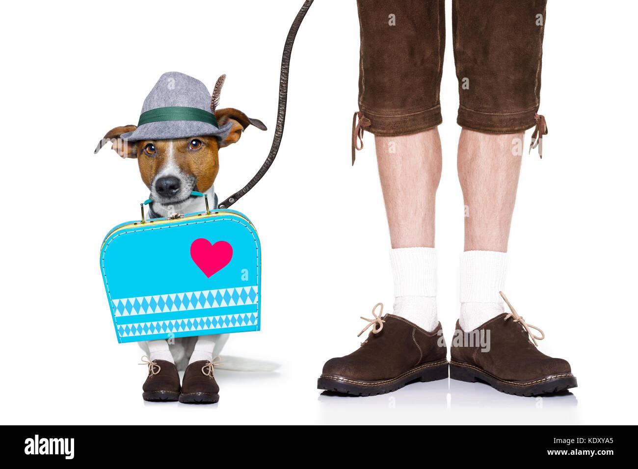 bavarian german jack russell dog with bag and luggage, with owner and a ...