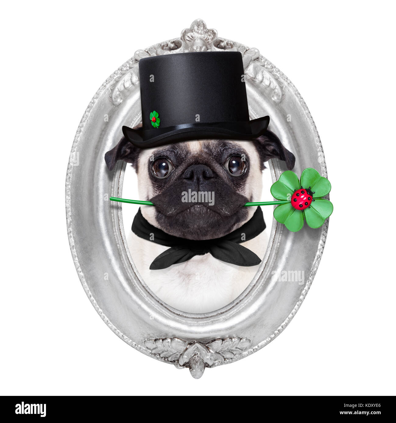 Chimney sweep with a ladder hi-res stock photography and images - Alamy