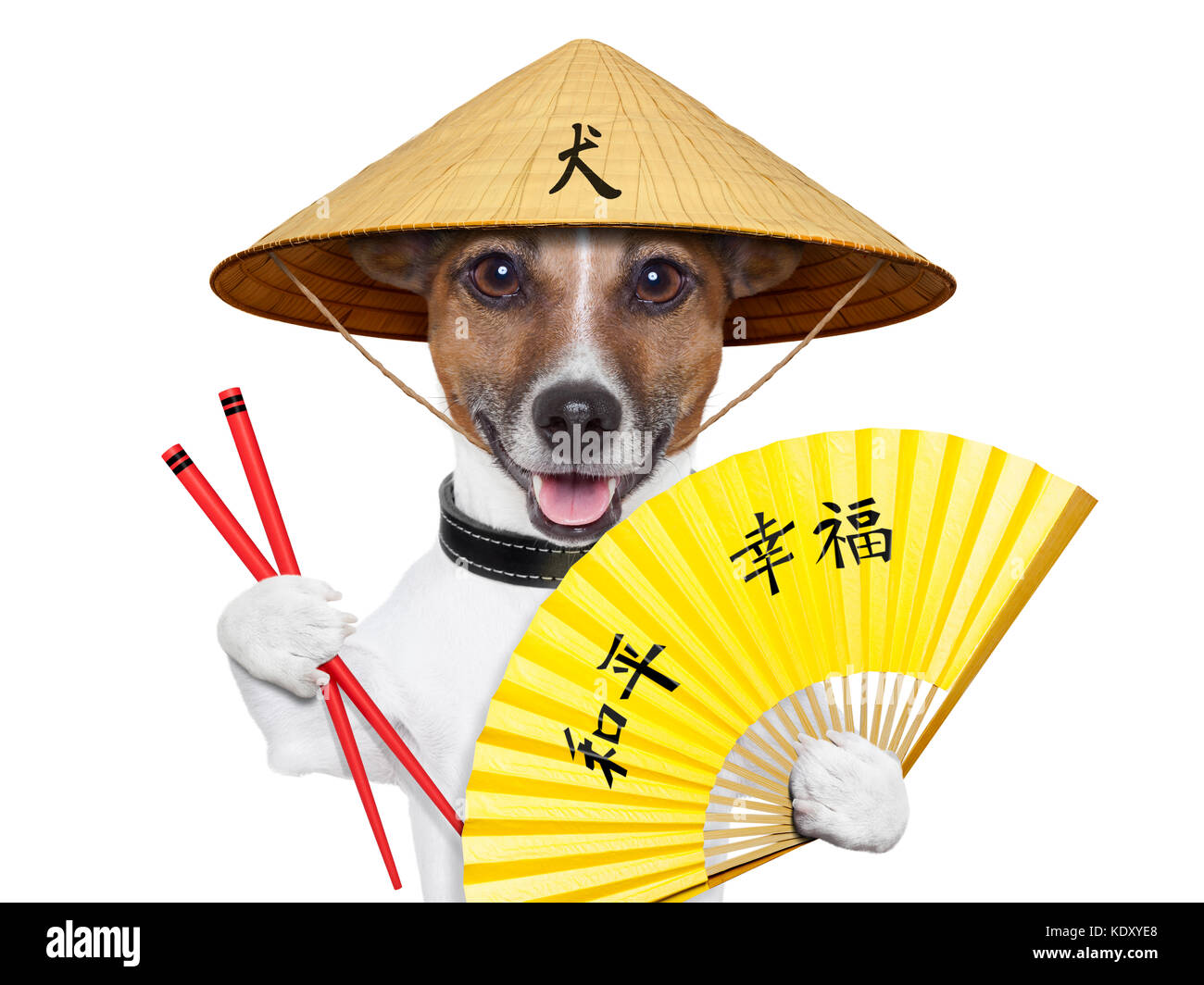 asian dog with hand fan and chopsticks Stock Photo - Alamy