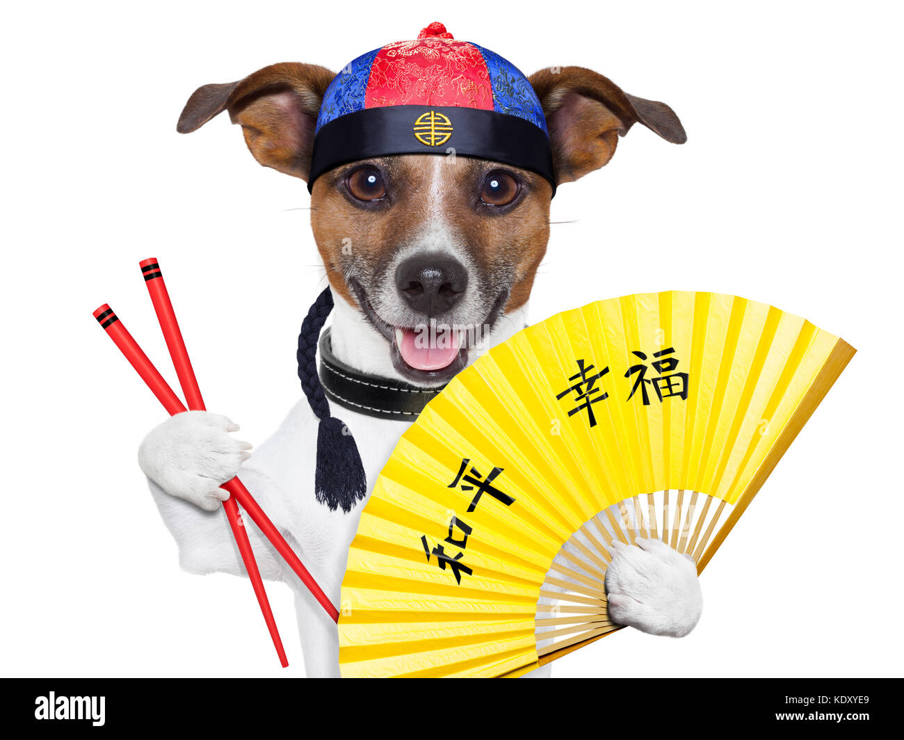 asian dog with hand fan and chopsticks Stock Photo - Alamy