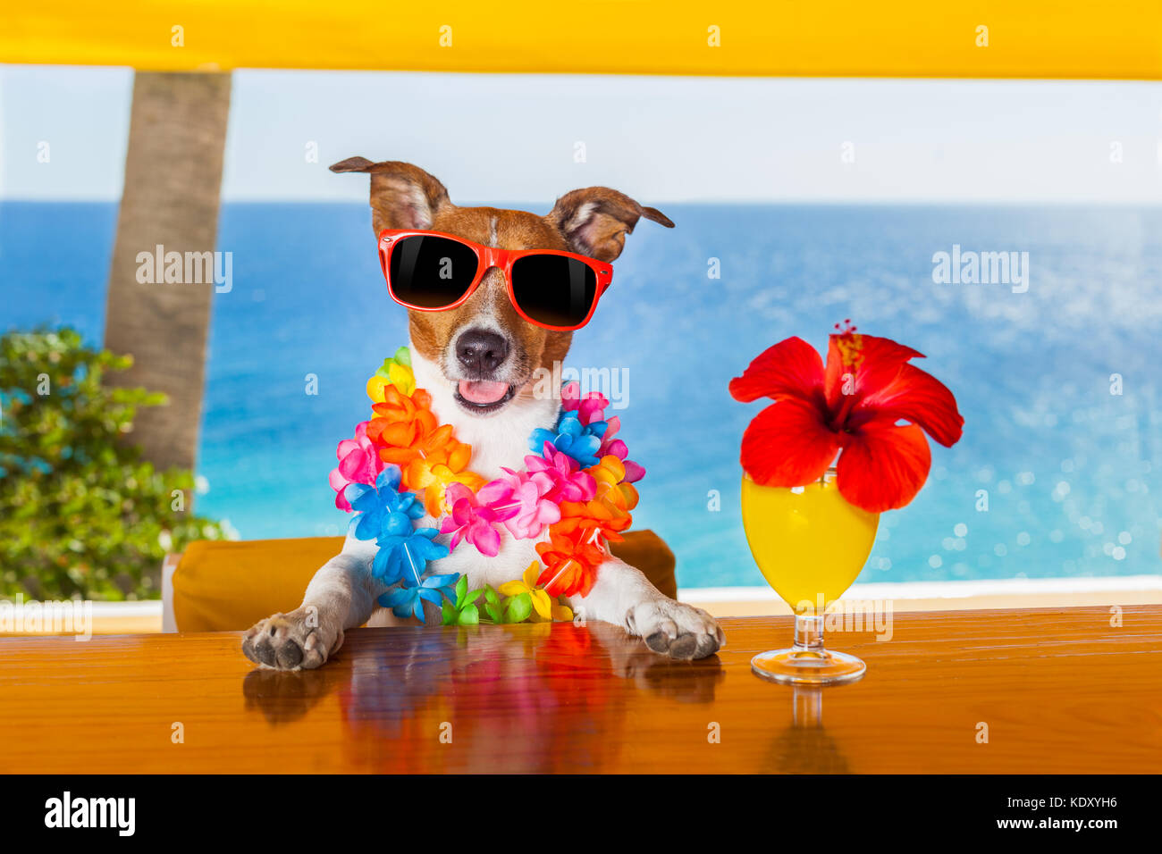 Sombrero club hi-res stock photography and images - Alamy