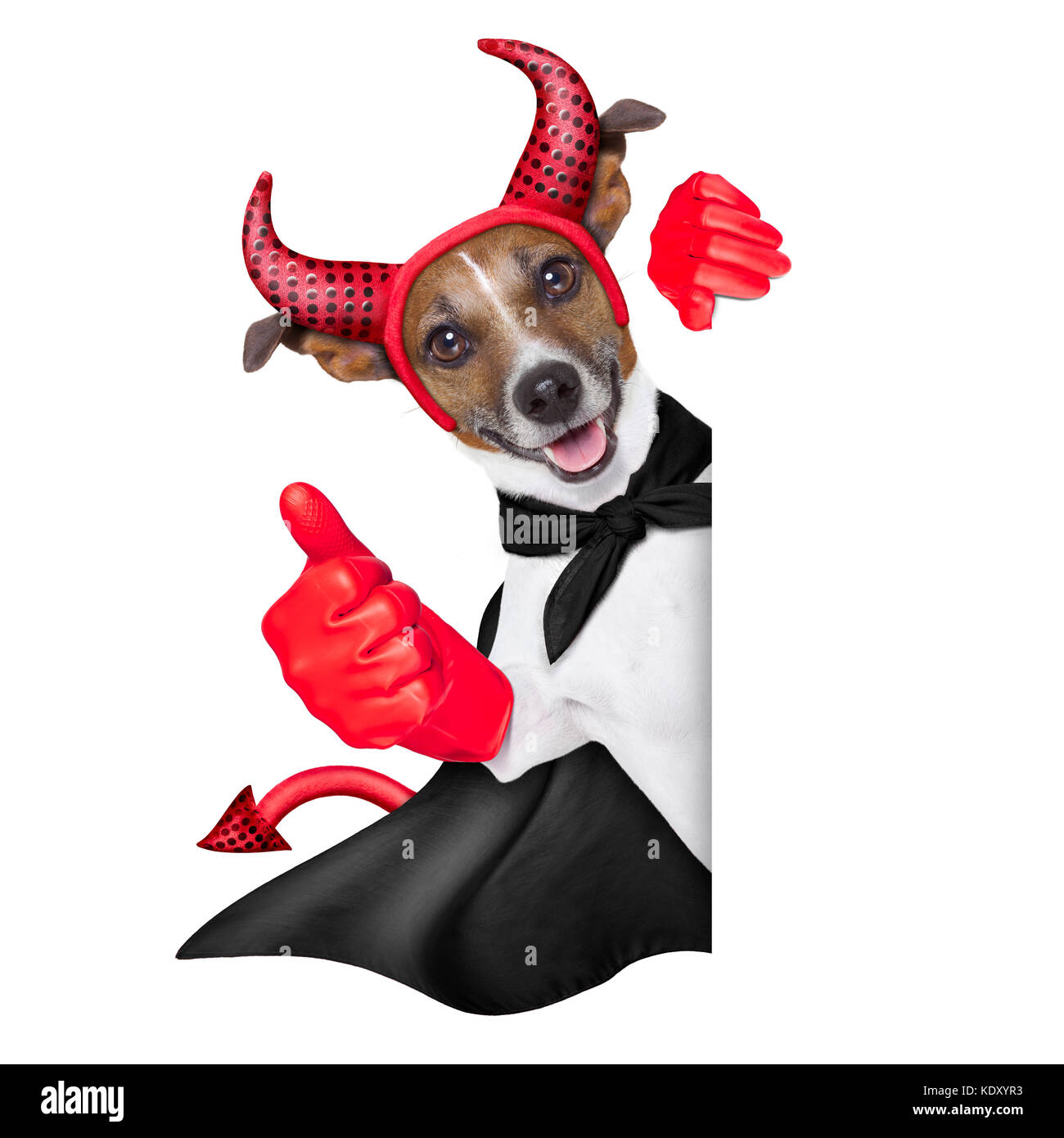 devil dog behind a blank white banner with thumb up Stock Photo - Alamy