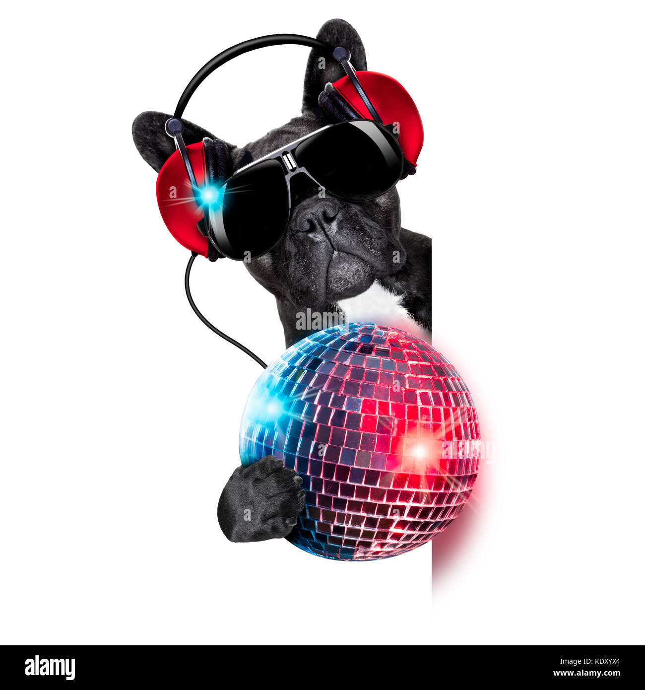 dj dog listening to music behind an empty and blank banner with a fancy ...