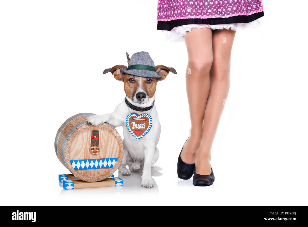 jack russell dog with beer barrel and gingerbread heart and owner ...
