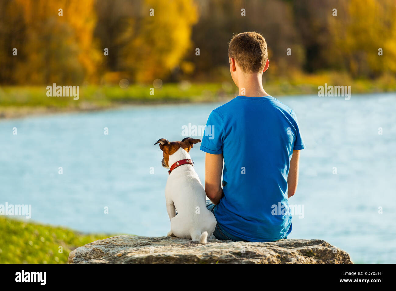 boy and his dog sitting together enjoying the view Stock Photo - Alamy