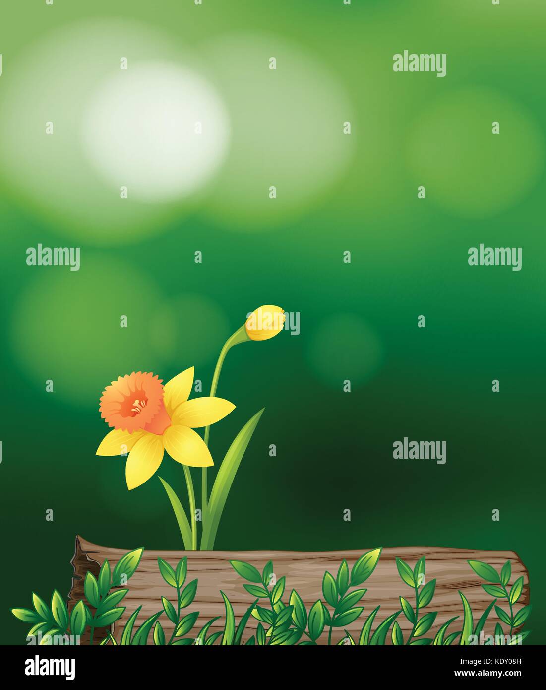 Yellow flower in the garden illustration Stock Vector Image & Art - Alamy