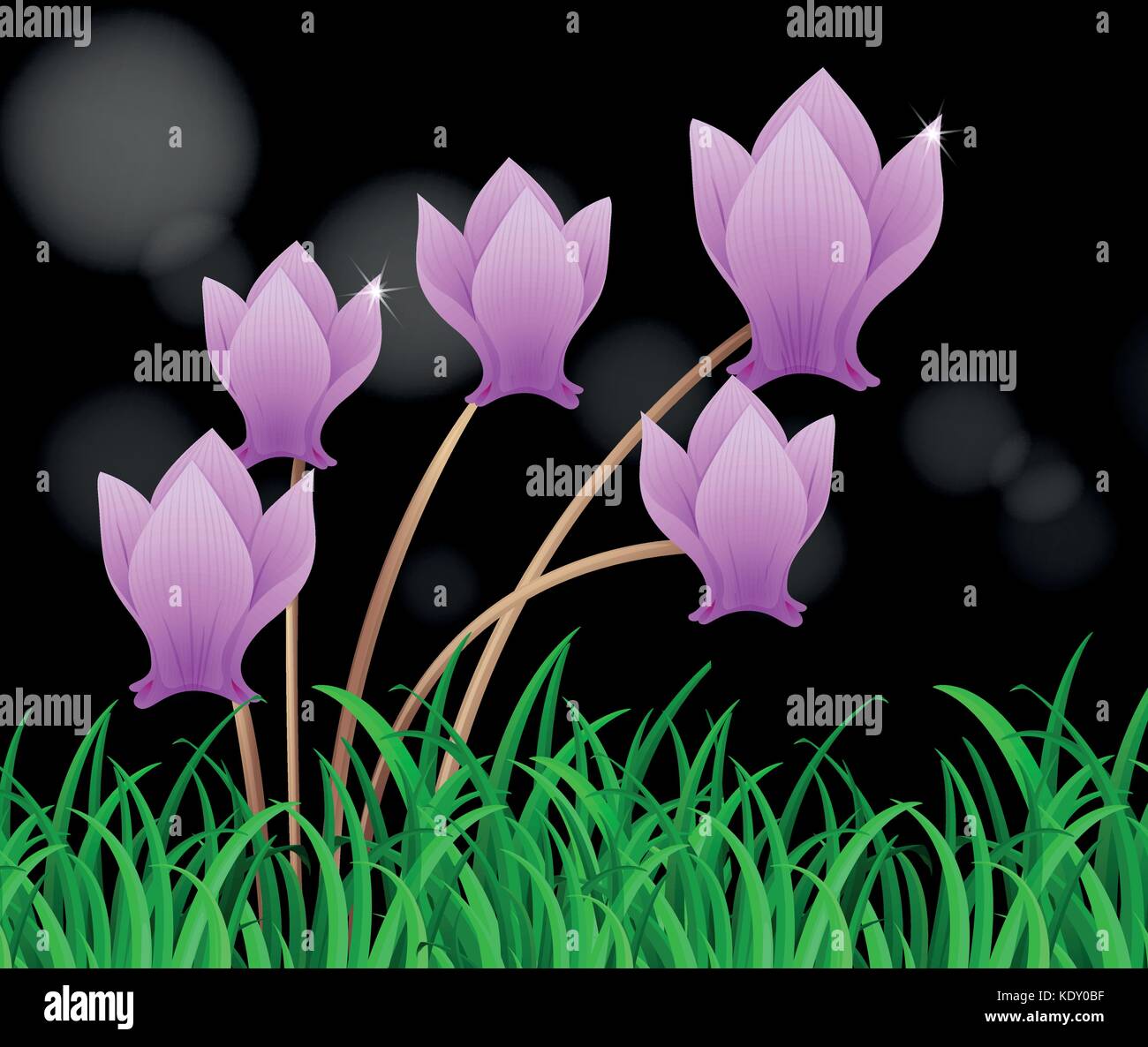 Cyclamen drawing Stock Vector Images - Alamy