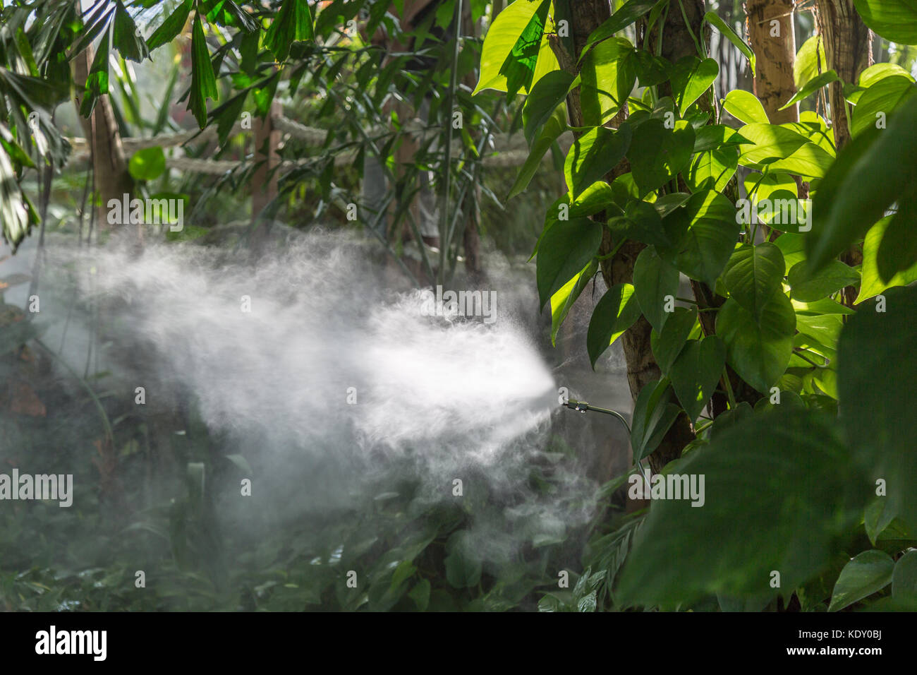 Vaporized water hi-res stock photography and images - Alamy
