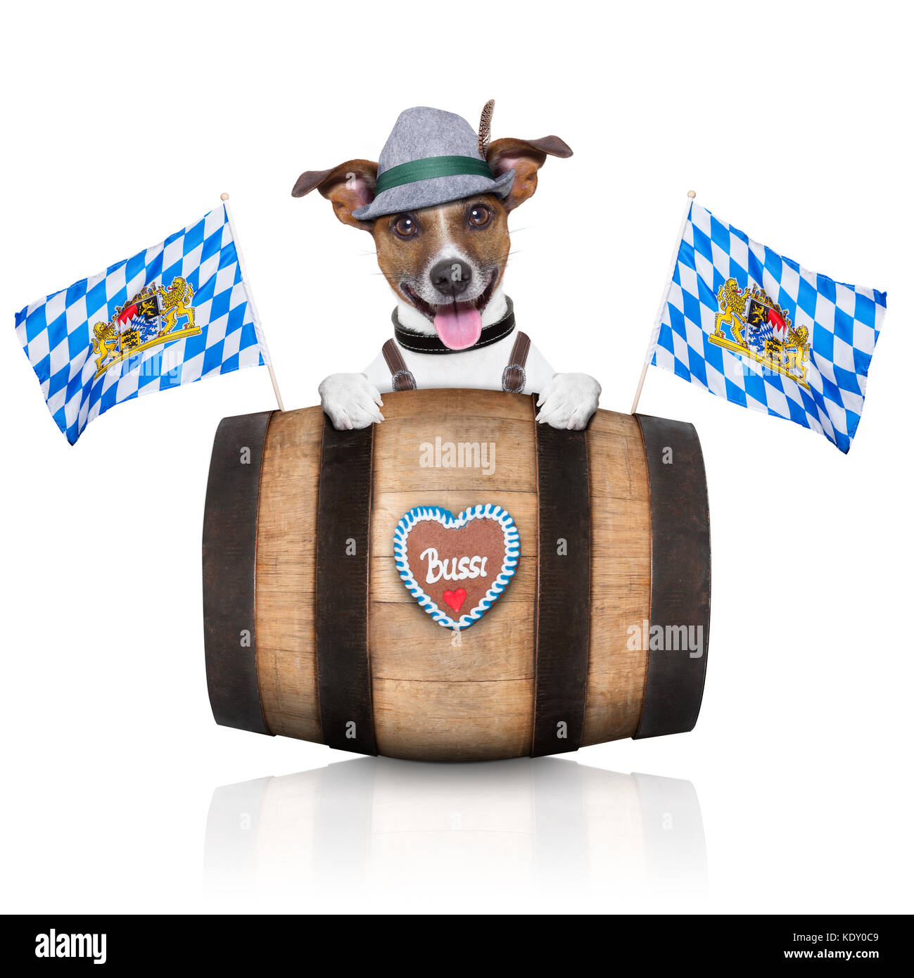 bavarian german dog behind beer barrel and bavarian flags Stock Photo ...