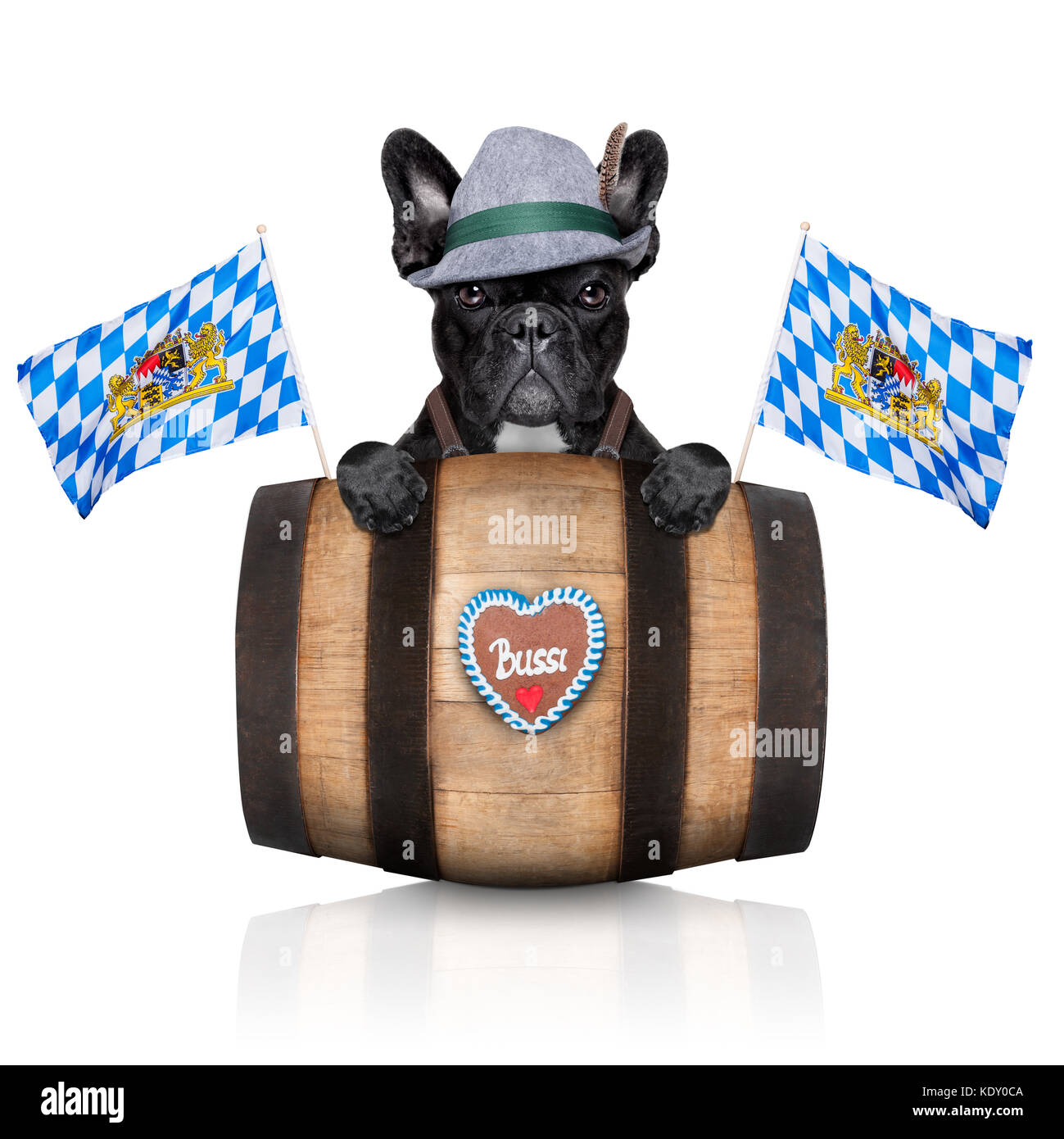 bavarian german dog behind beer barrel and bavarian flags Stock Photo ...