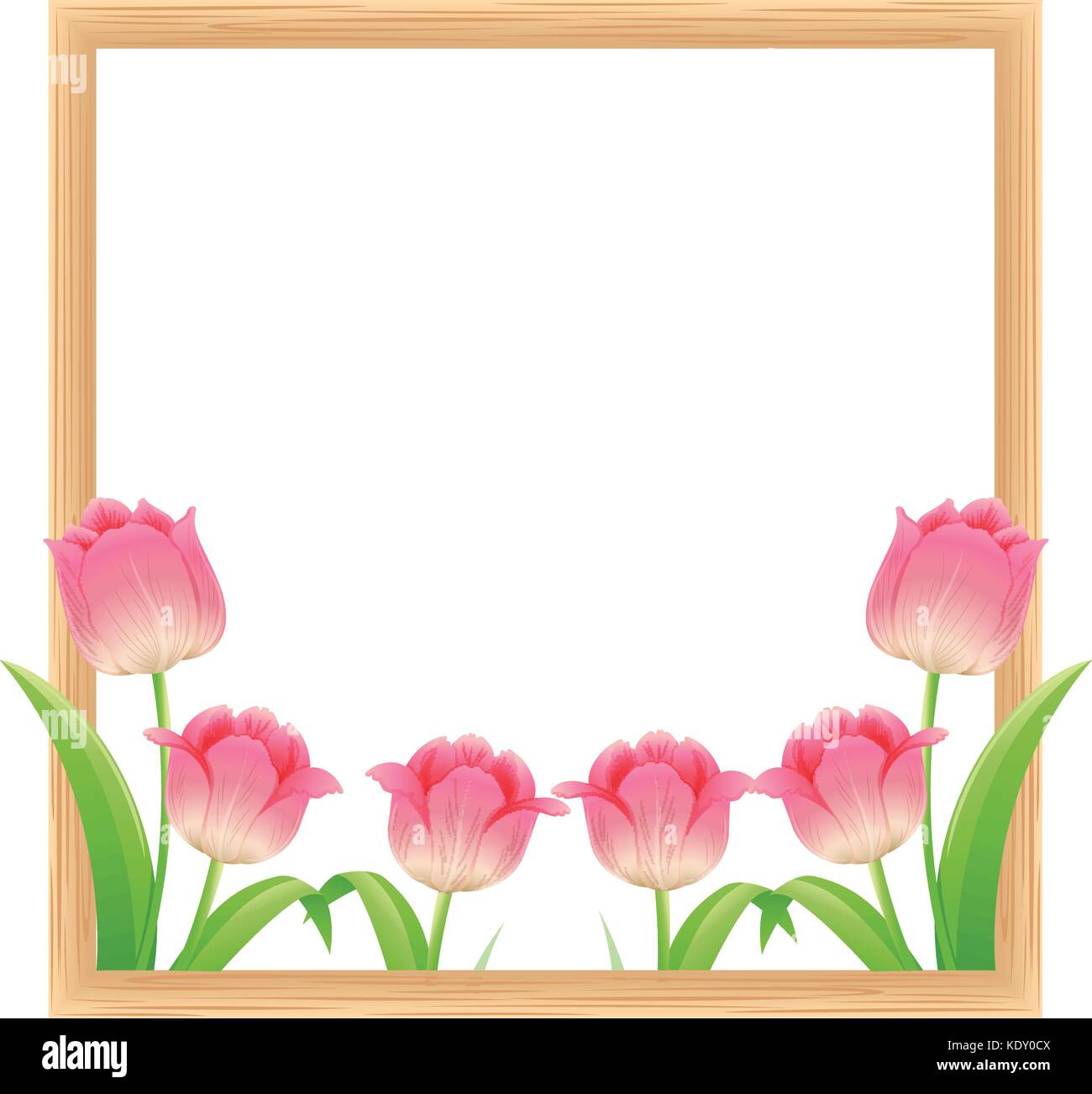 Tulip Border Clip Art