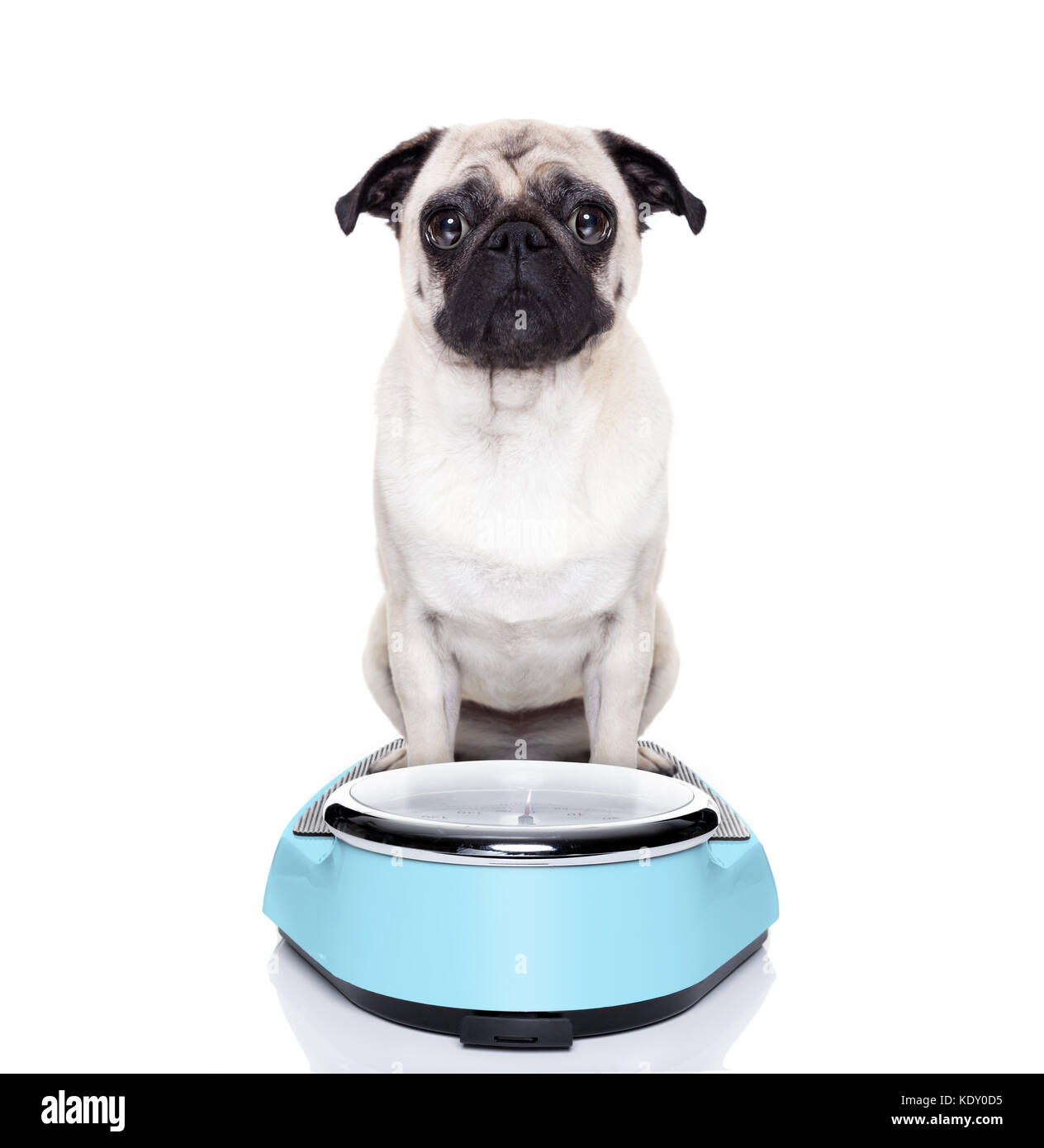 Scale boxer hi-res stock photography and images - Alamy