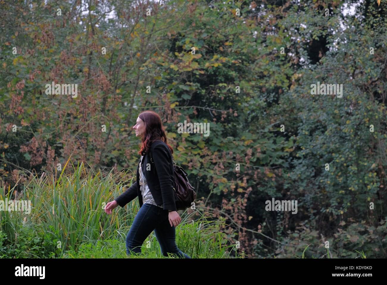 woman waling through woodland Stock Photo - Alamy