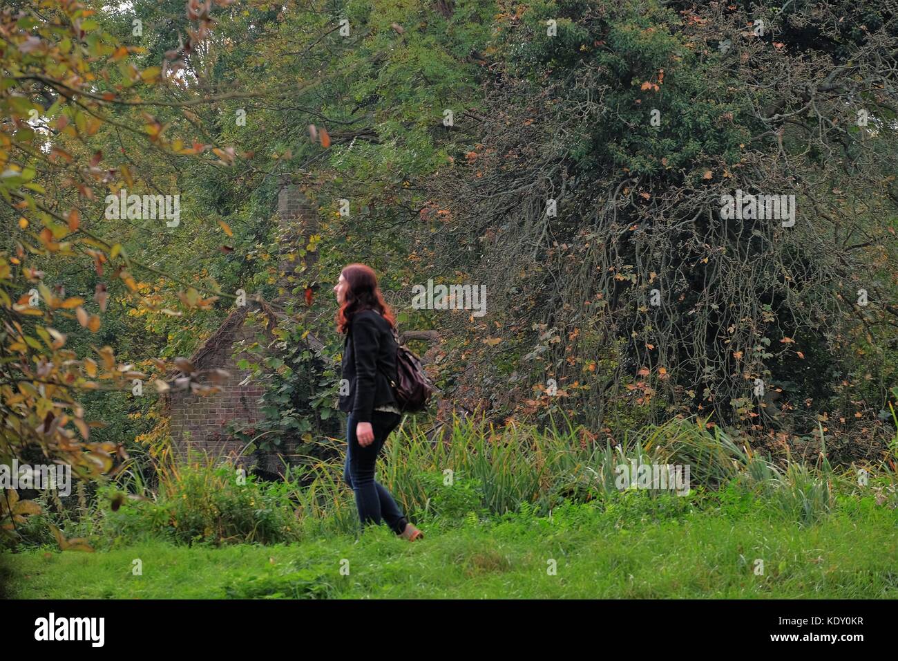 woman waling through woodland Stock Photo - Alamy