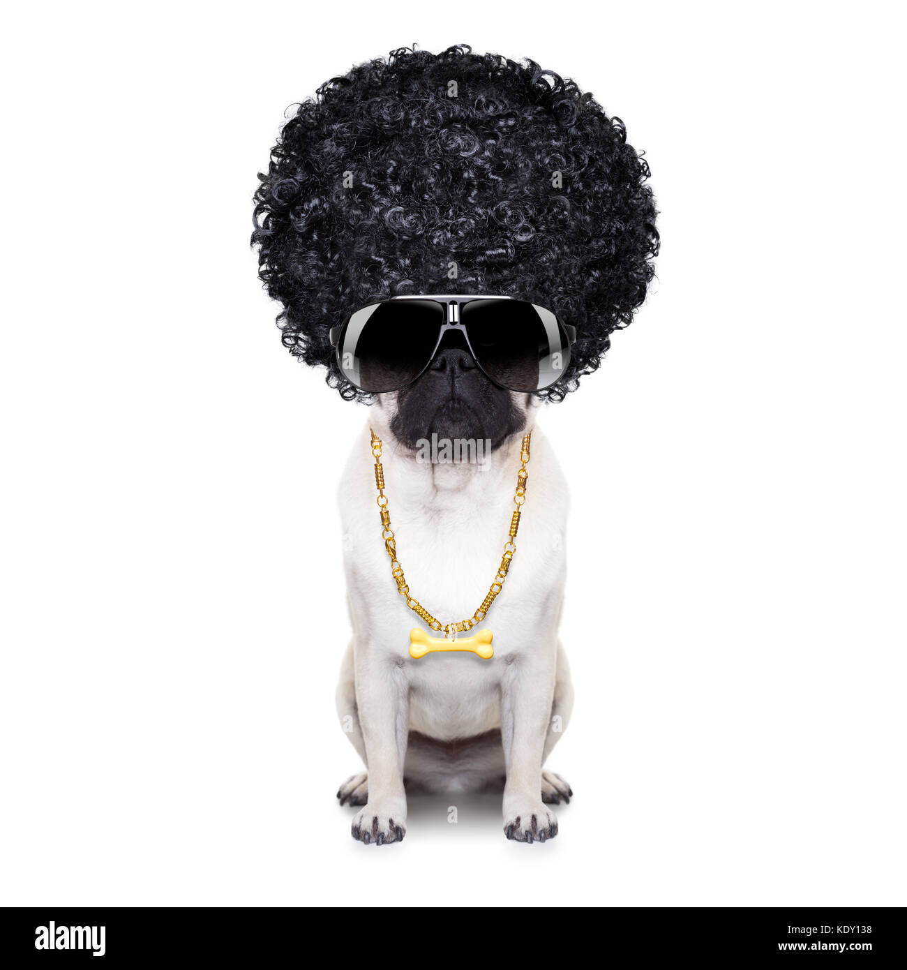 gangster cool afro dog wit gold chain and sunglasses Stock Photo - Alamy