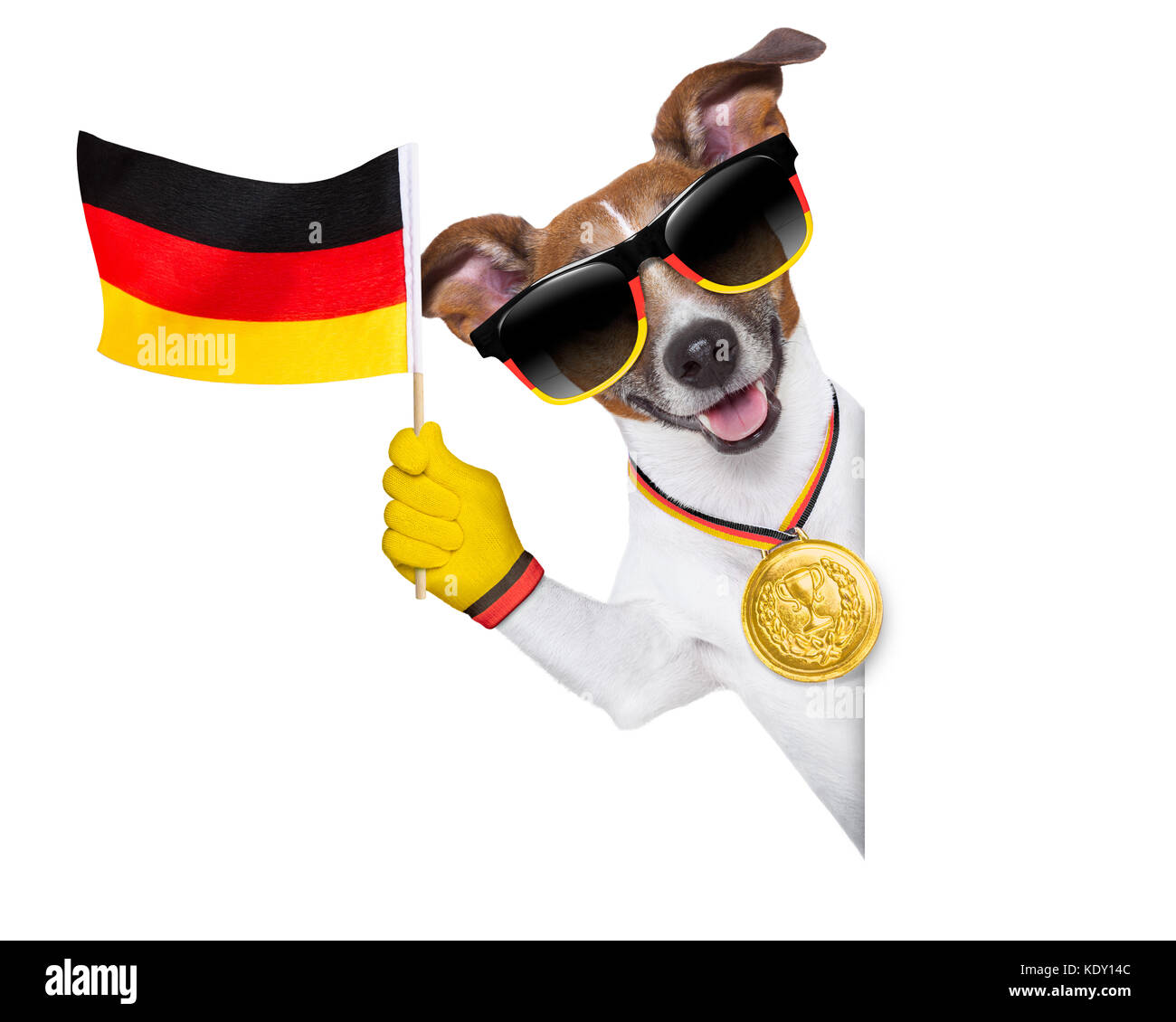 german soccer dog with german flag waving Stock Photo - Alamy