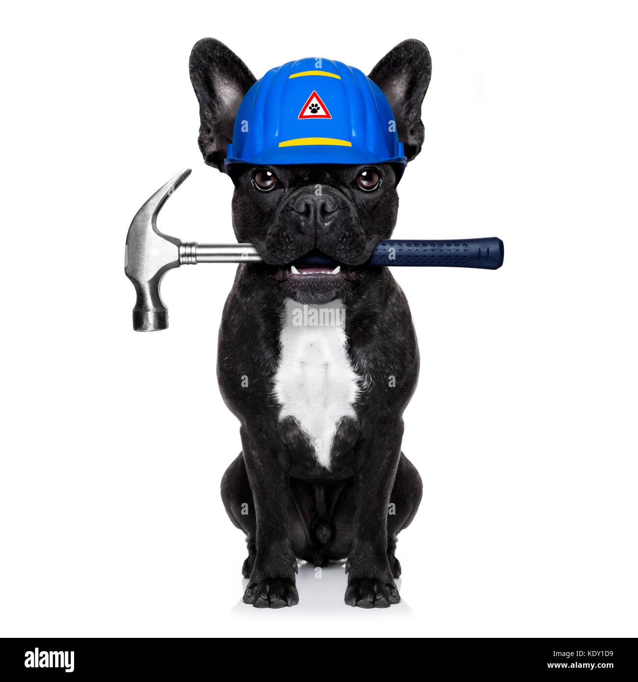 Diy do it yourself home improvement hammer in hi-res stock photography ...