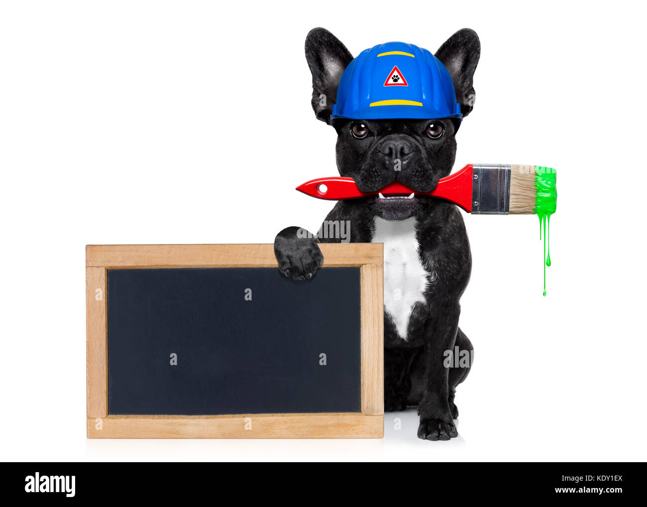 handyman dog worker with helmet behind blank banner or blackboard ...