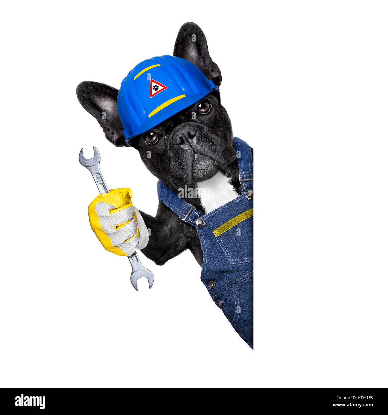 handyman dog worker with helmet behind blank white banner , wrench in ...