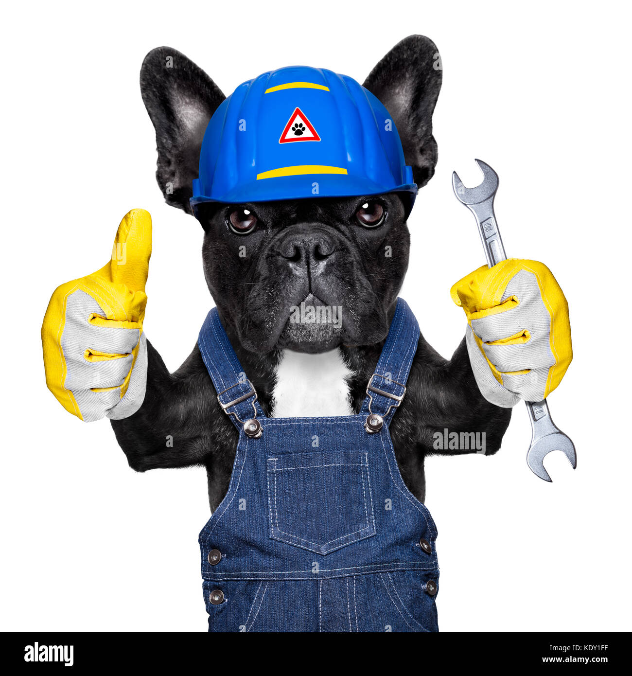 handyman dog worker with helmet and wrench in hand, ready to repair ...