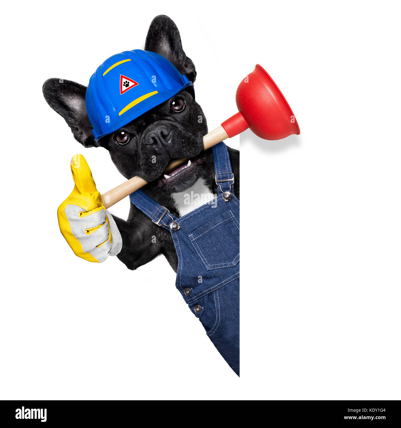 handyman french bulldog dog worker with helmet and plunger in mouth ...