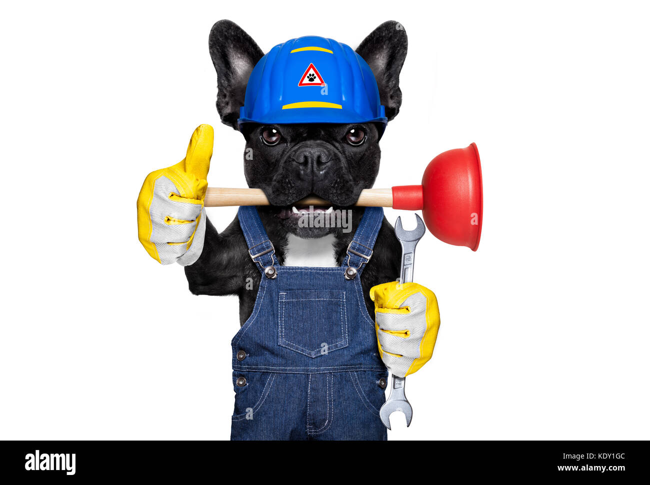 handyman french bulldog dog worker with helmet and plunger in mouth ...