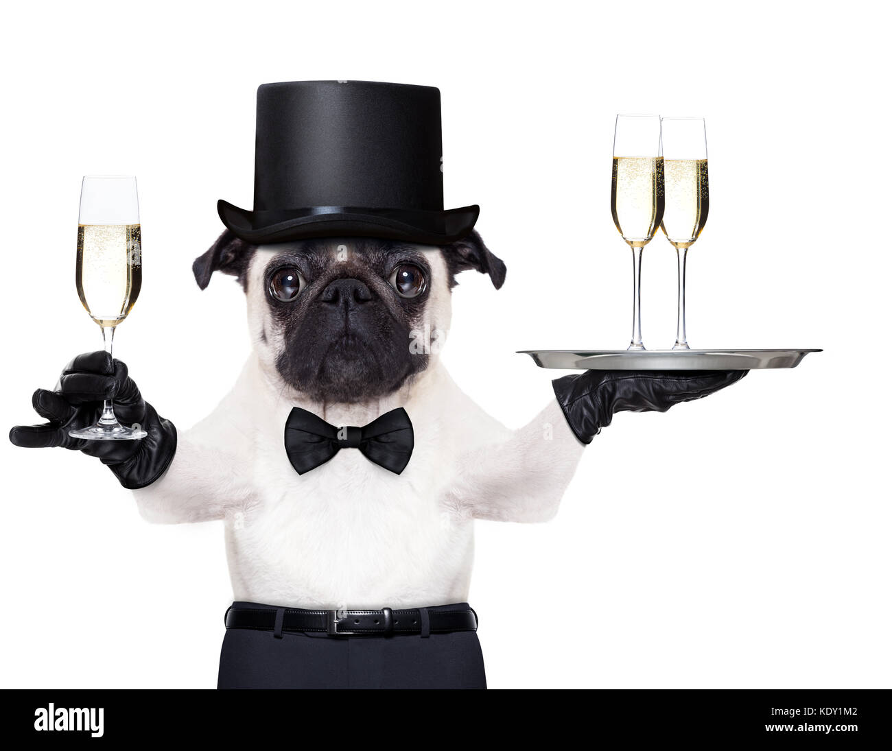 Hand tray glasses hi-res stock photography and images - Alamy