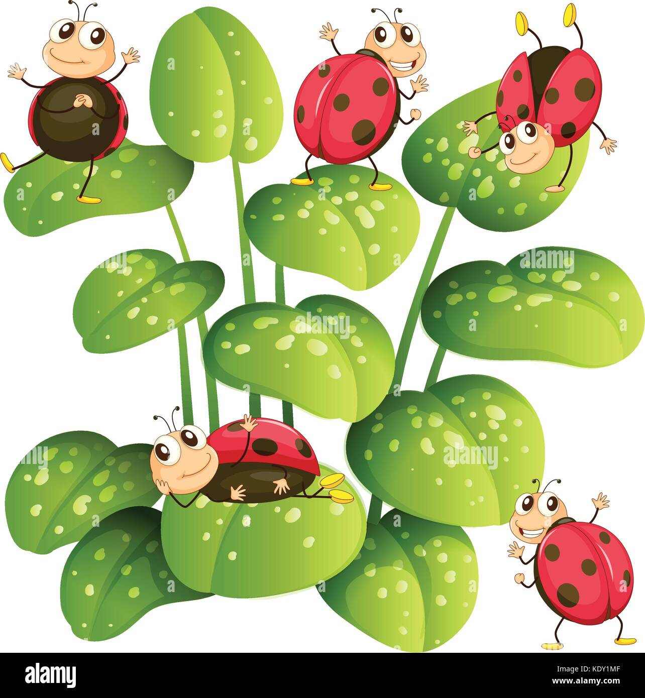 Ladybugs on leaves Stock Vector Images - Alamy