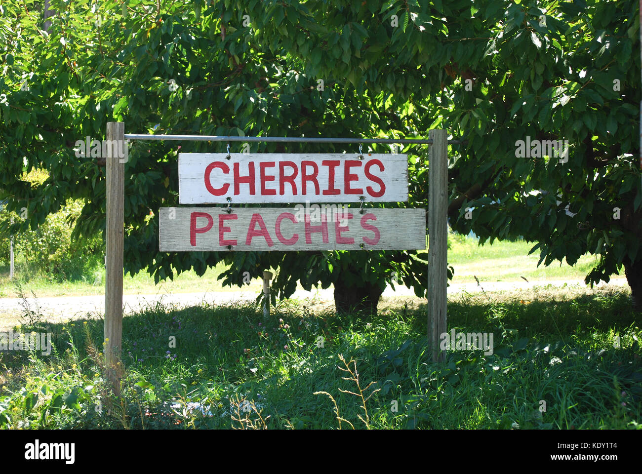 Fruit Orchard signs - Cherries and Peaches in Eastern Washington State ...